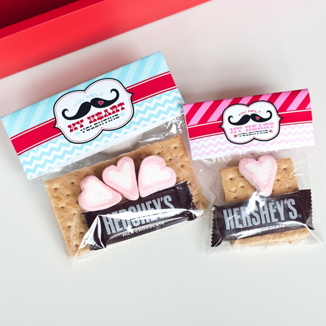 Mr and Miss Mustache Valentines Day Printable Folding S'mores Bag ...