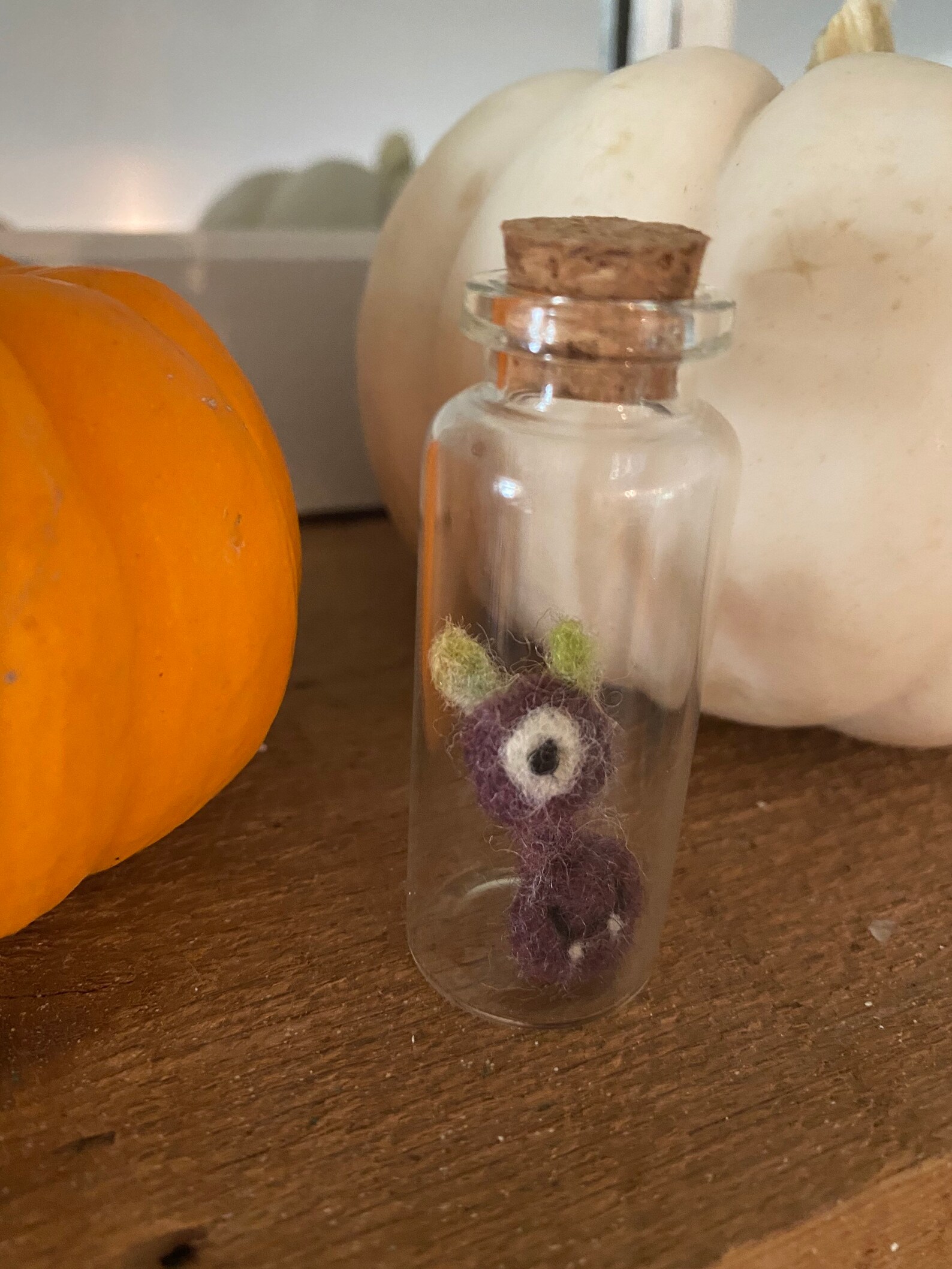 Needle Felted Oddity Jars Ghost in a Jar Alien in a Jar - Etsy