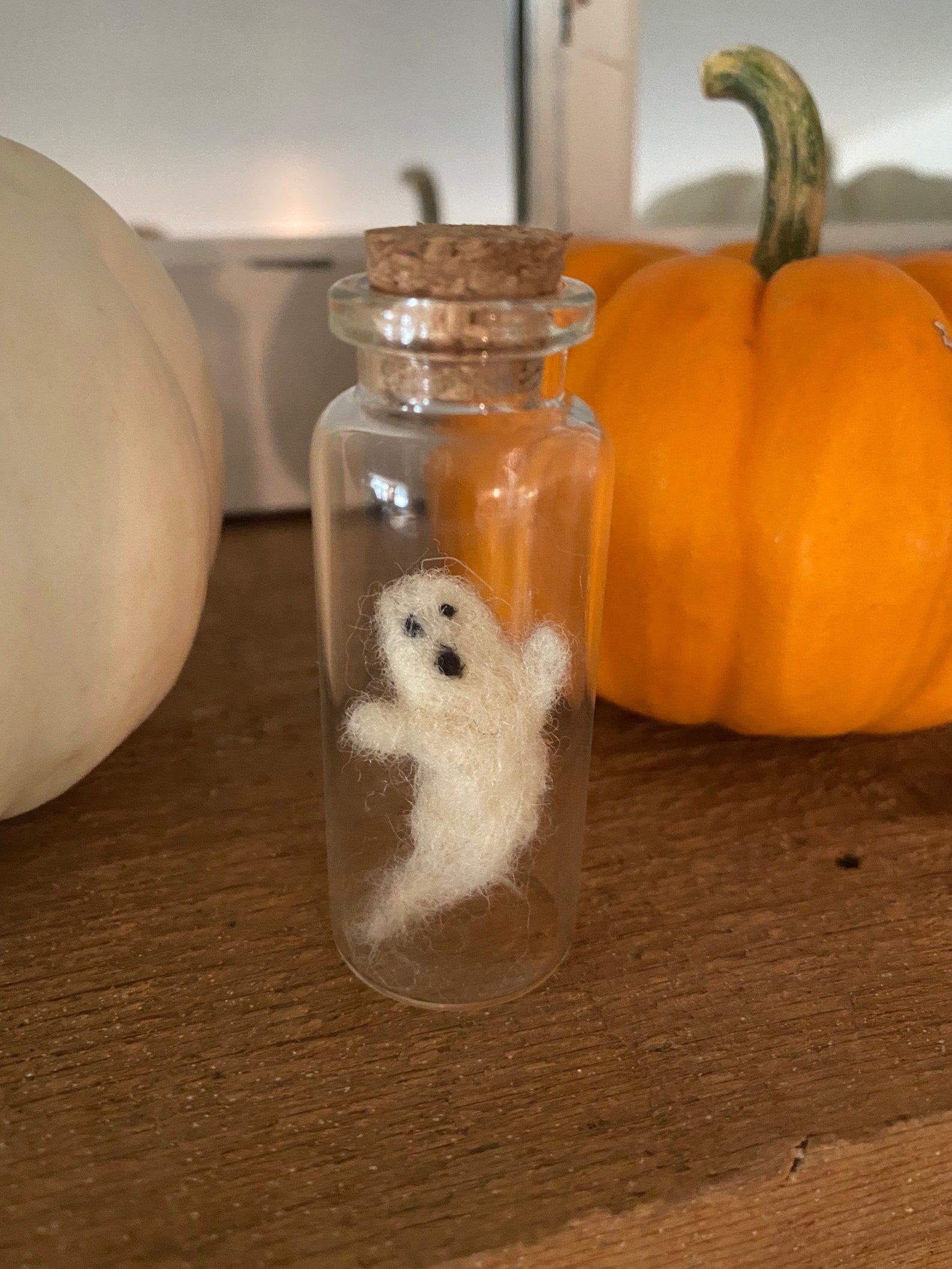 Needle Felted Oddity Jars Ghost in a Jar Alien in a Jar - Etsy