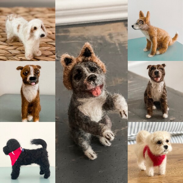 Needle Felt Pet - Etsy