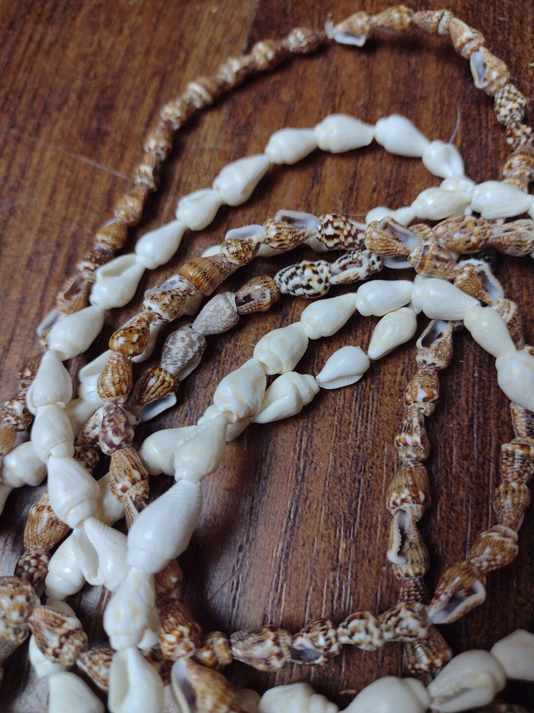 SET of 2 X 38 STRINGS Mini Conch Shell Beads 200 Pcs - Etsy