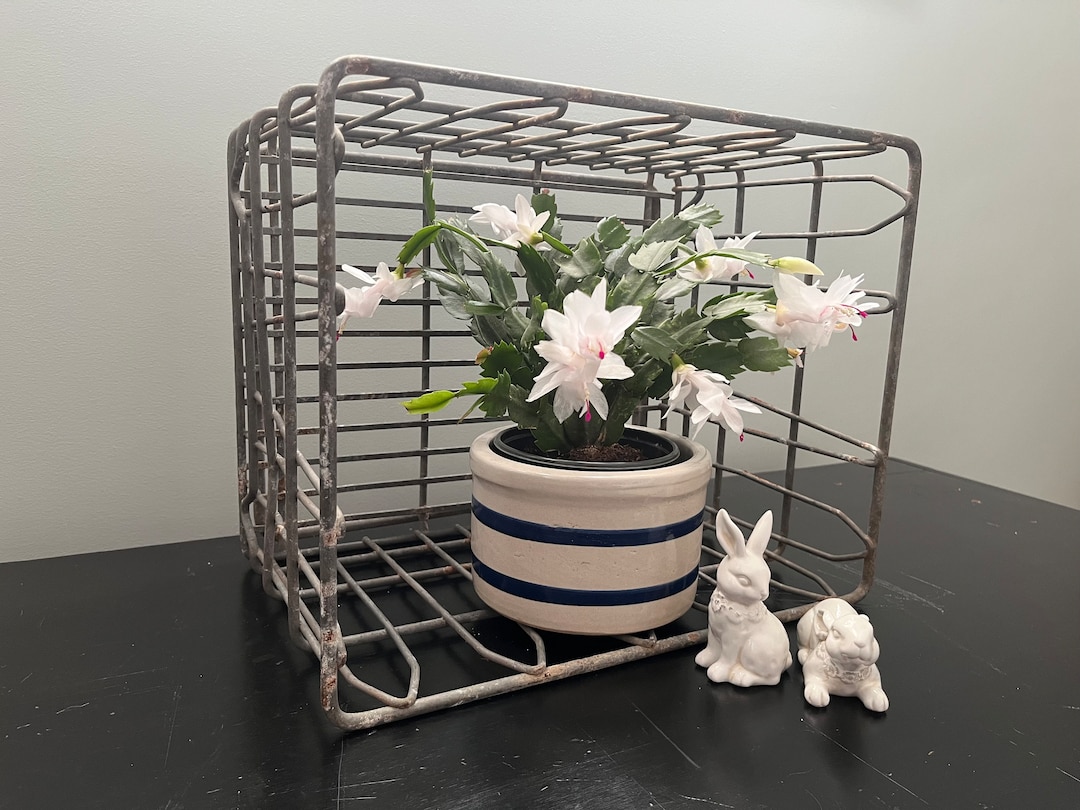 Vintage Wire Metal Crate Milk Carrier - Vintage Dairy Farmhouse Bottle ...