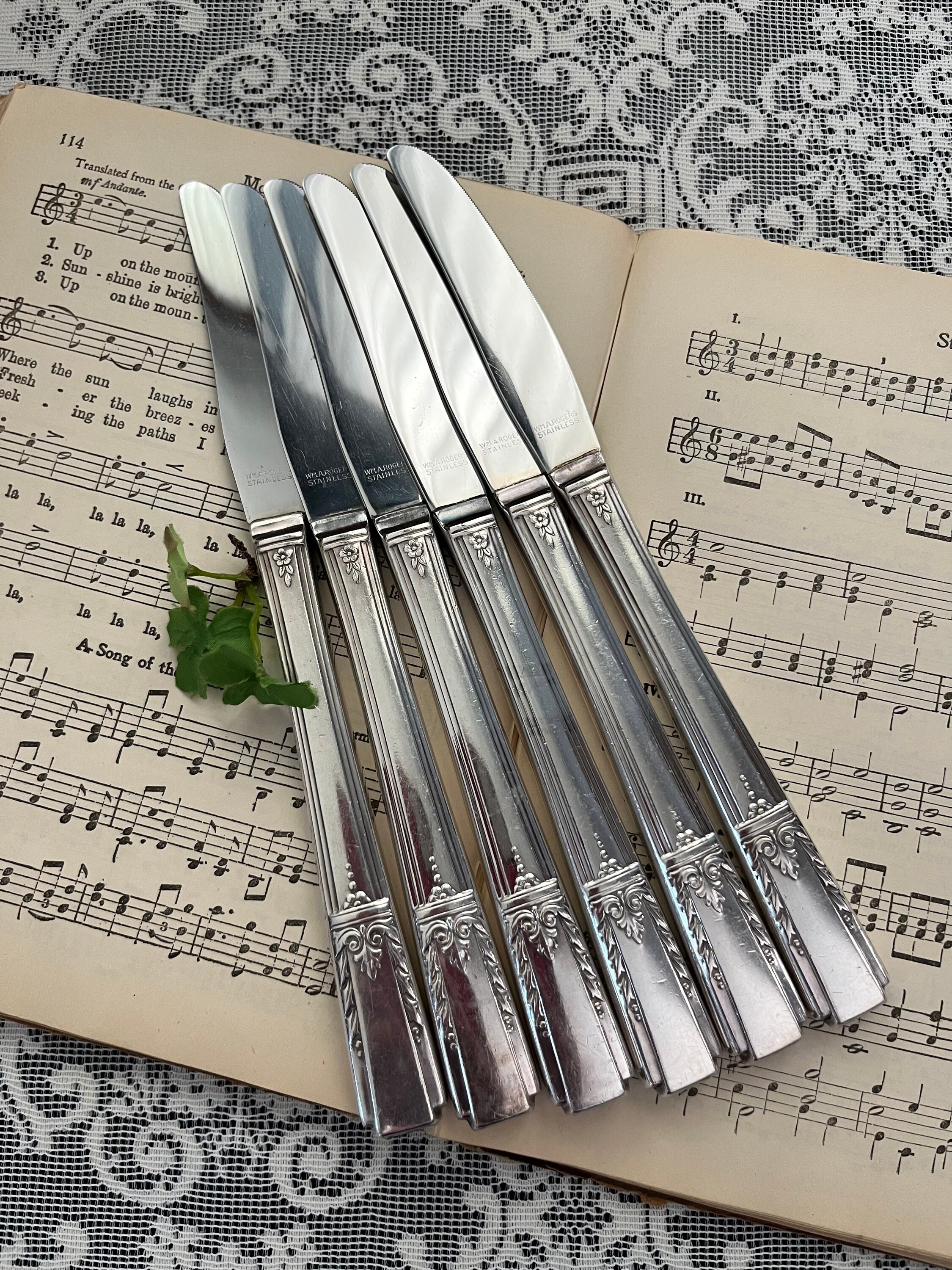 26 Pc - 1881 Rogers Oneida Silver Plate LADY DRAKE Pattern Six 4pc ...