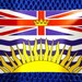 Classic-“british Columbia Provincial Shield” Lapel Pin - Etsy Canada