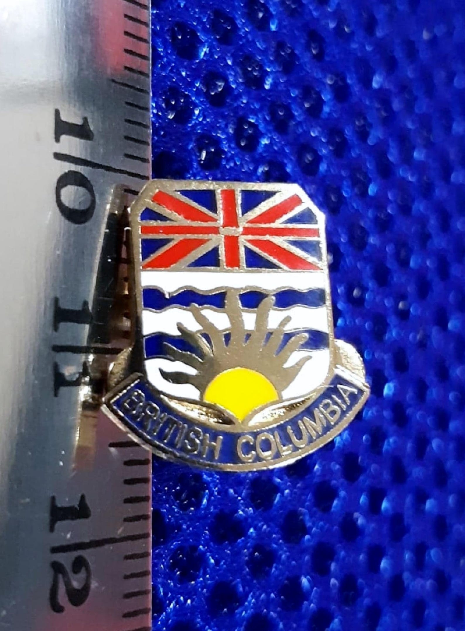 Classic-“british Columbia Provincial Shield” Lapel Pin - Etsy Canada
