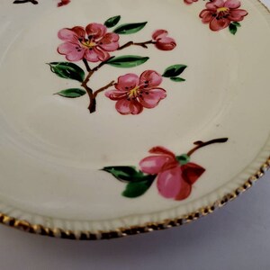 Vintage Homer Laughlin Apple Blossom Pattern Liberty Bread and Butter ...