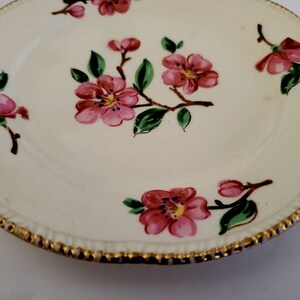 Vintage Homer Laughlin Apple Blossom Pattern Liberty Bread and Butter ...