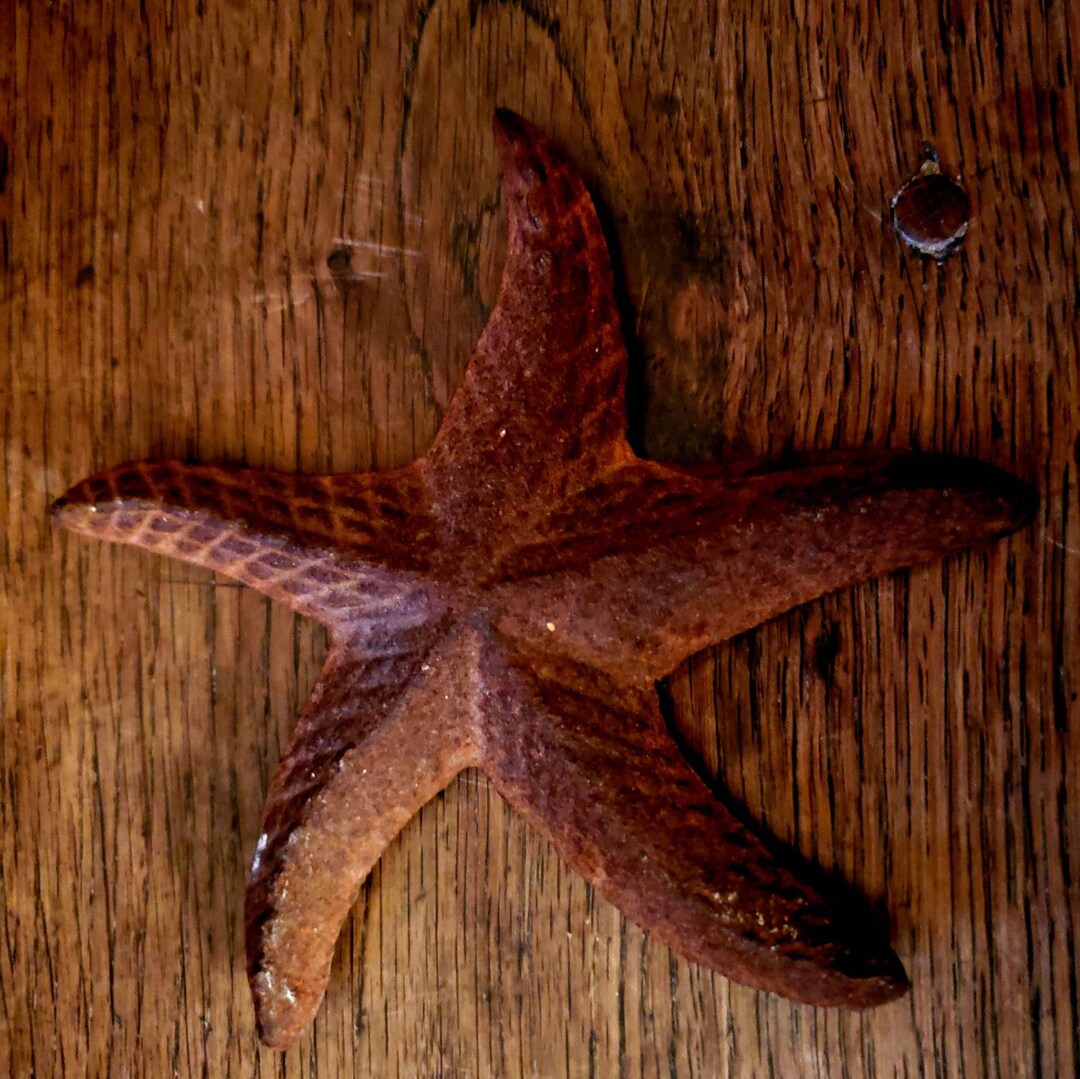 Rustic Vintage Cast Iron Starfish Paperweight - Etsy