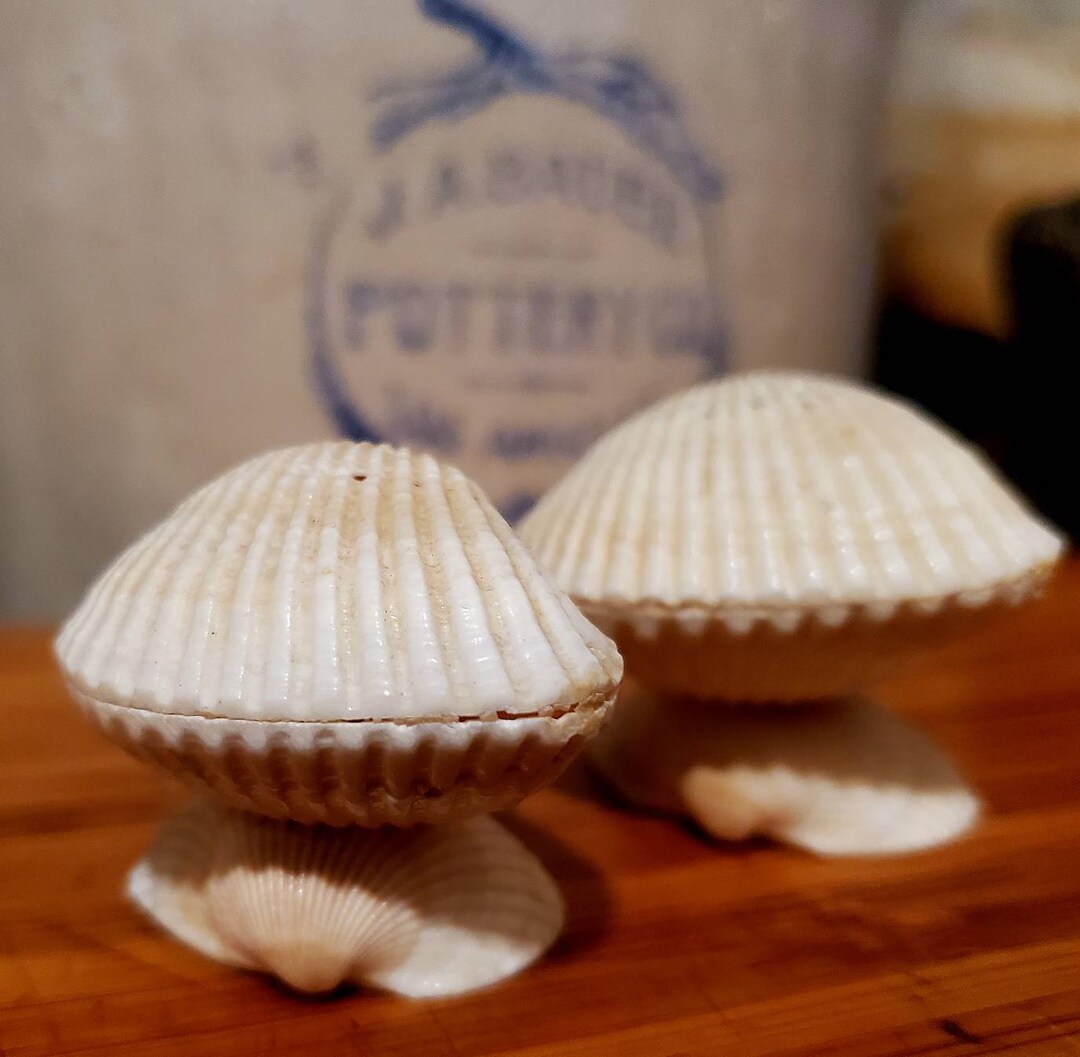 Vintage Japan Genuine Sea Shell Salt and Pepper Shaker Set - Etsy
