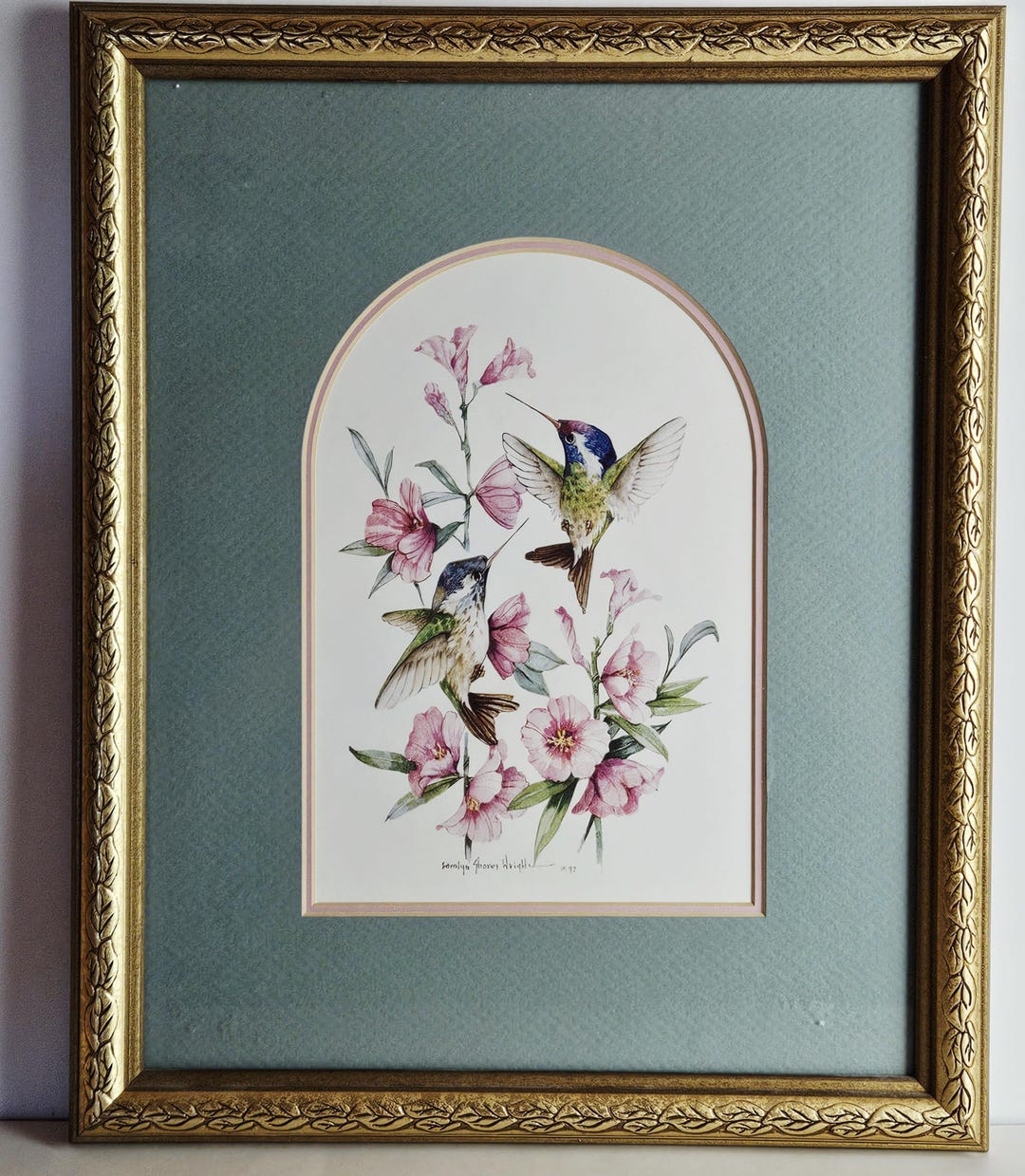 Vintage Framed Carolyn Shores Wright Hummingbird Prints X 2 - Etsy