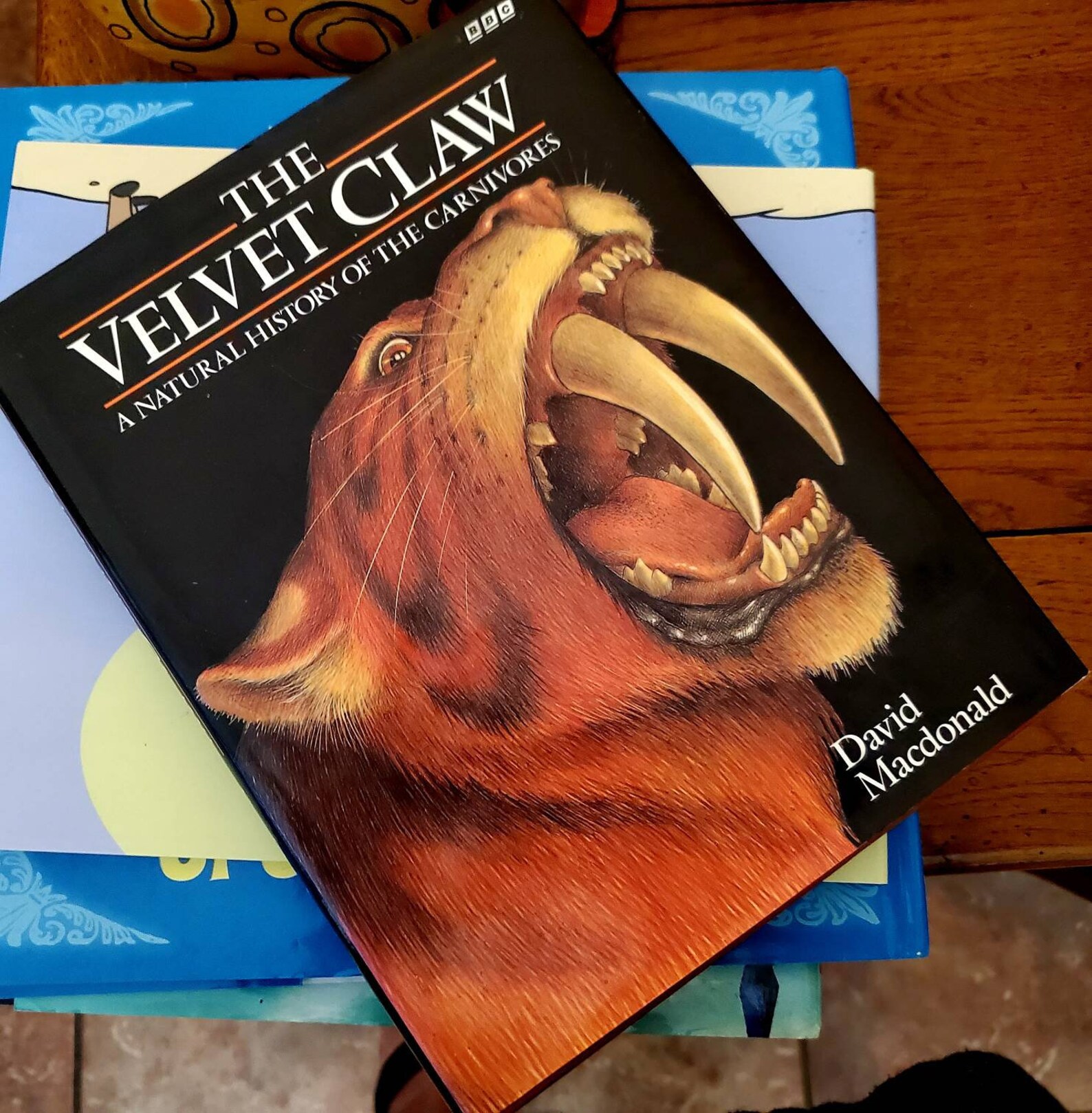 The Velvet Claw A Natural History of the Carnivores Book by - Etsy