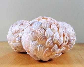Shell sculpture | Etsy