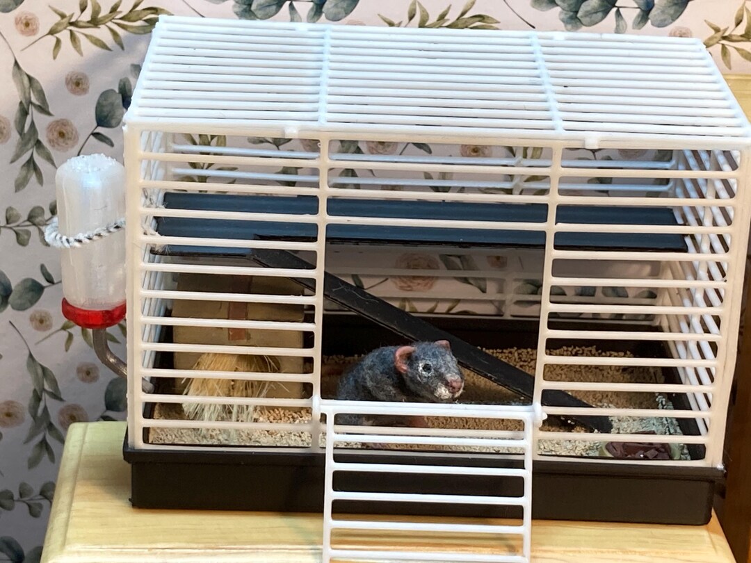 1/12 Scale Modern Miniature Dolls House / Dollhouse Doll Pet Rat, With ...