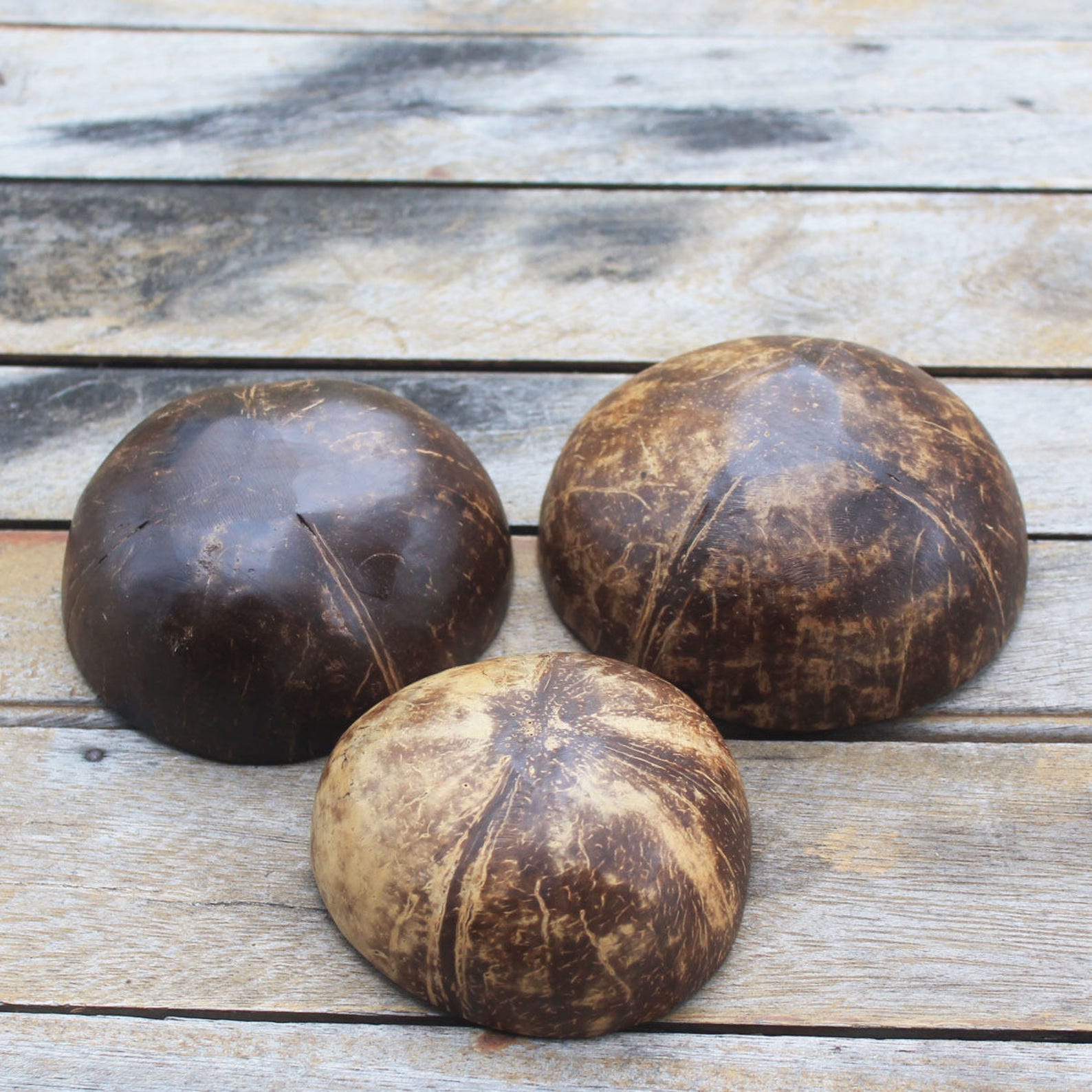 Coconut Shell Bowlcoconut Shell 3 Bowlssize 5 6 X 2 Inch | Etsy