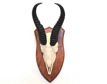 Springbok Sculpture - Etsy