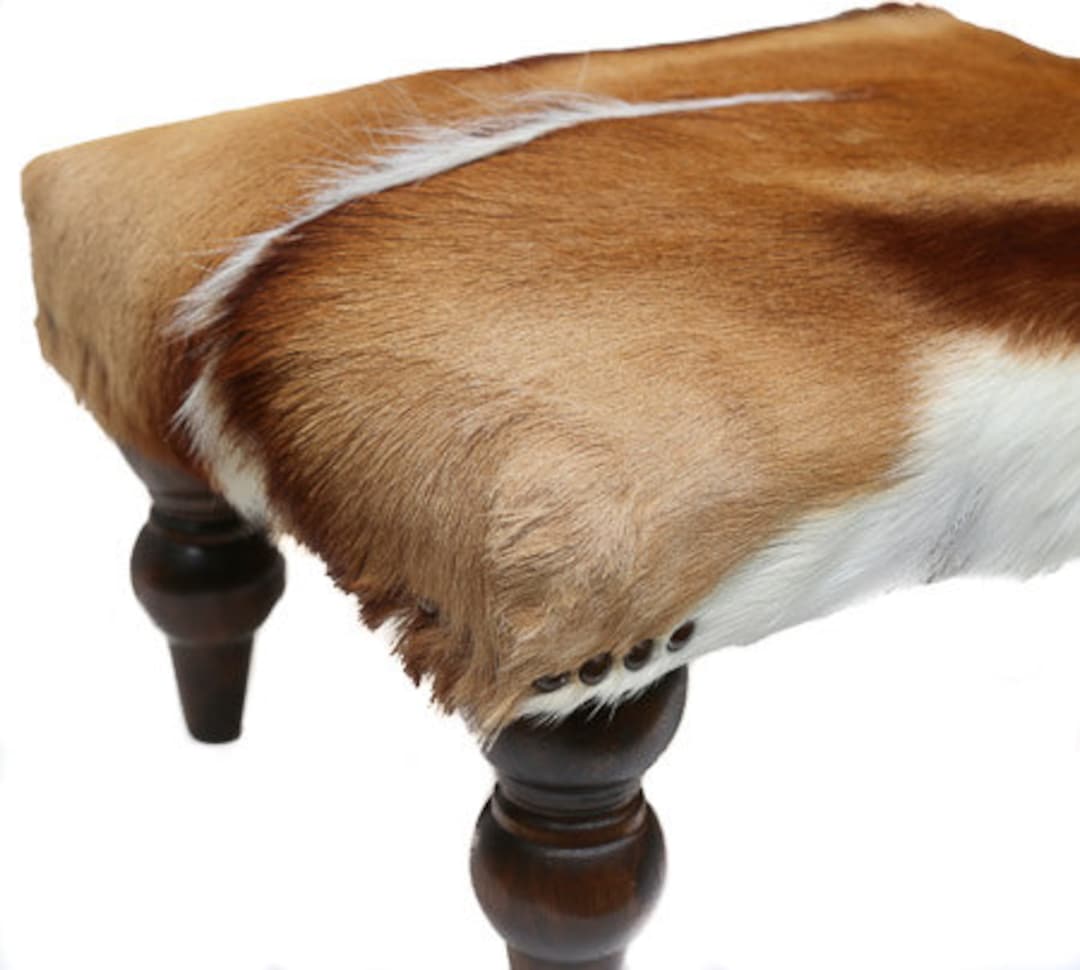 African Springbok Ottoman South Africa Springbok Footstool African Hide ...