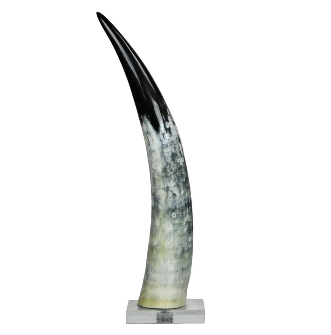 Cow Horn Sculpture on Acrylic Stand, Farmhouse Table Centerpiece - Etsy