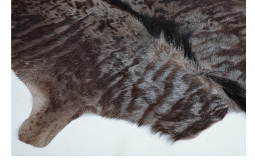 African Wildebeest Hide South Africa Wildebeest Leather Hide African ...