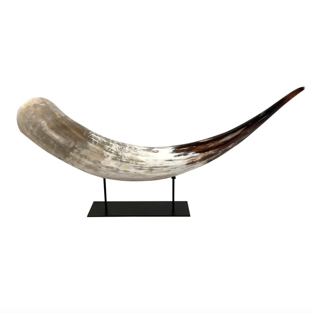 Cow Horn Sculpture Cow Horn Centerpiece Natural Horn Artwork Cow Horn ...