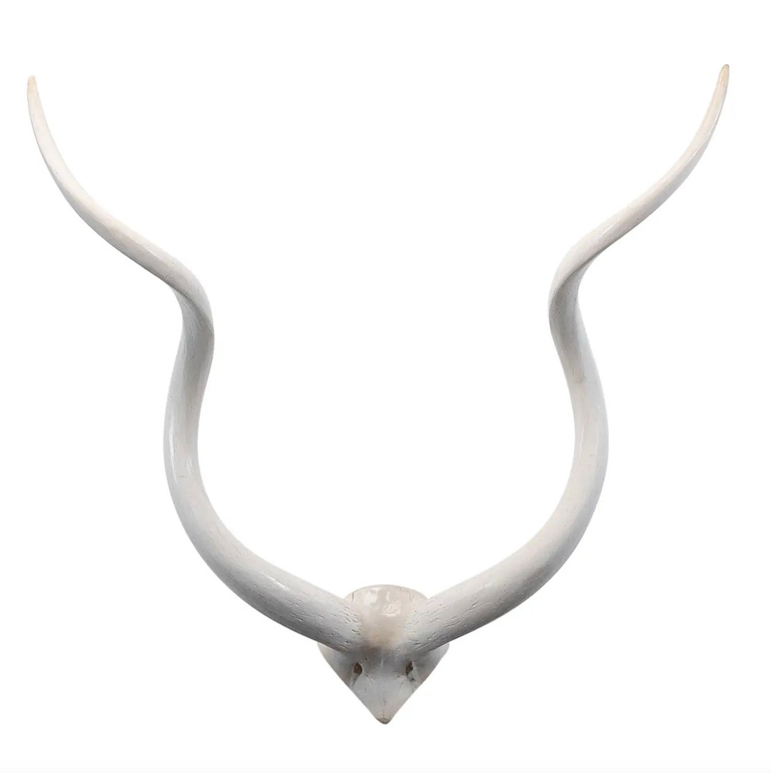 Kudu Mount Wall Art Kudu Horns Wall Decor White Kudu Horn Wall Hanging ...