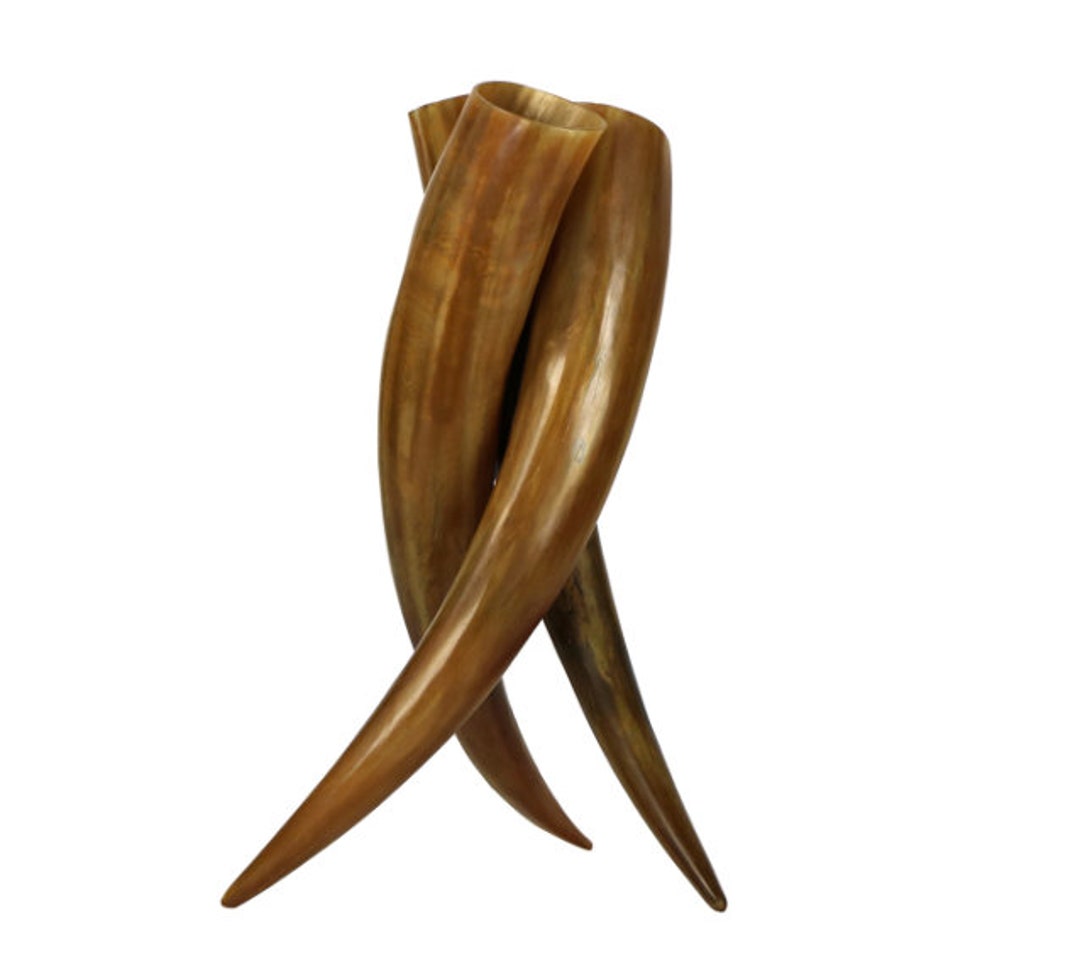 Natural Horn Vase Cow Horns Sculpture Modern Art African Horns Artwork ...