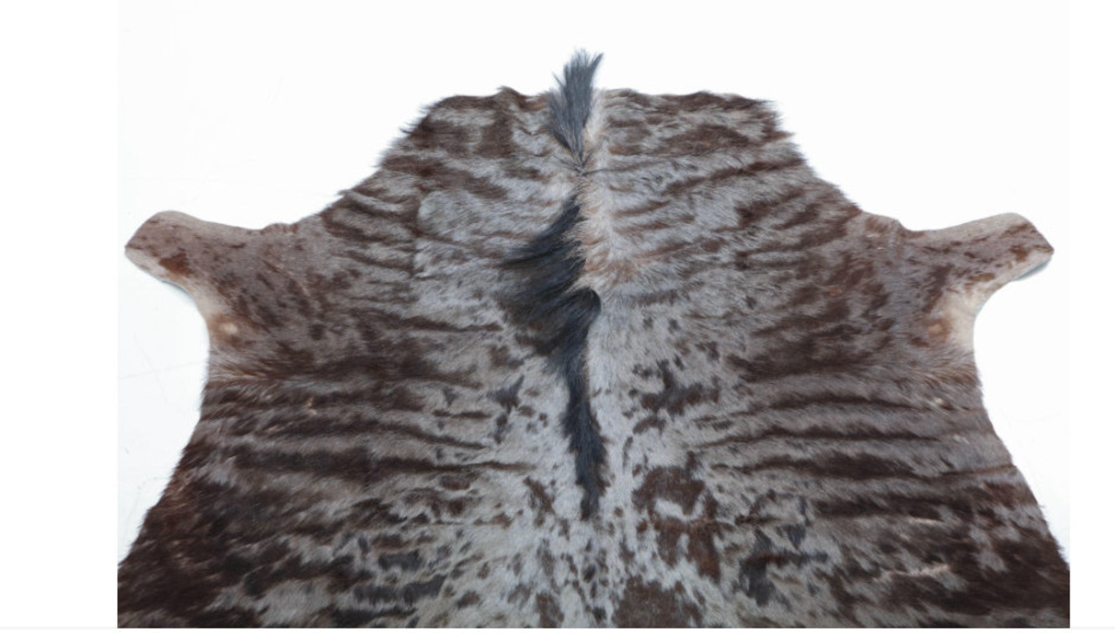 African Blue Wildebeest Hide: South Africa, Rustic Safari Decor (6' X 5 ...
