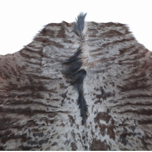 African Blue Wildebeest Hide: South Africa, Rustic Safari Decor (6' X 5 ...
