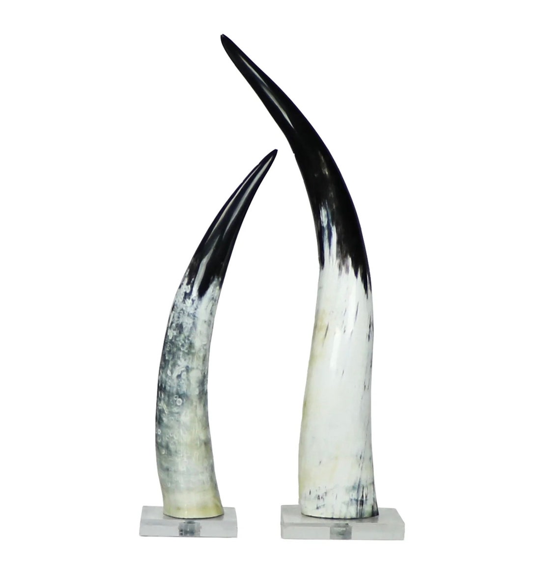 Cow Horn Sculpture on Acrylic Stand, Farmhouse Table Centerpiece - Etsy