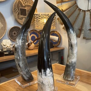 Cow Horn Sculpture on Acrylic Stand, Farmhouse Table Centerpiece - Etsy