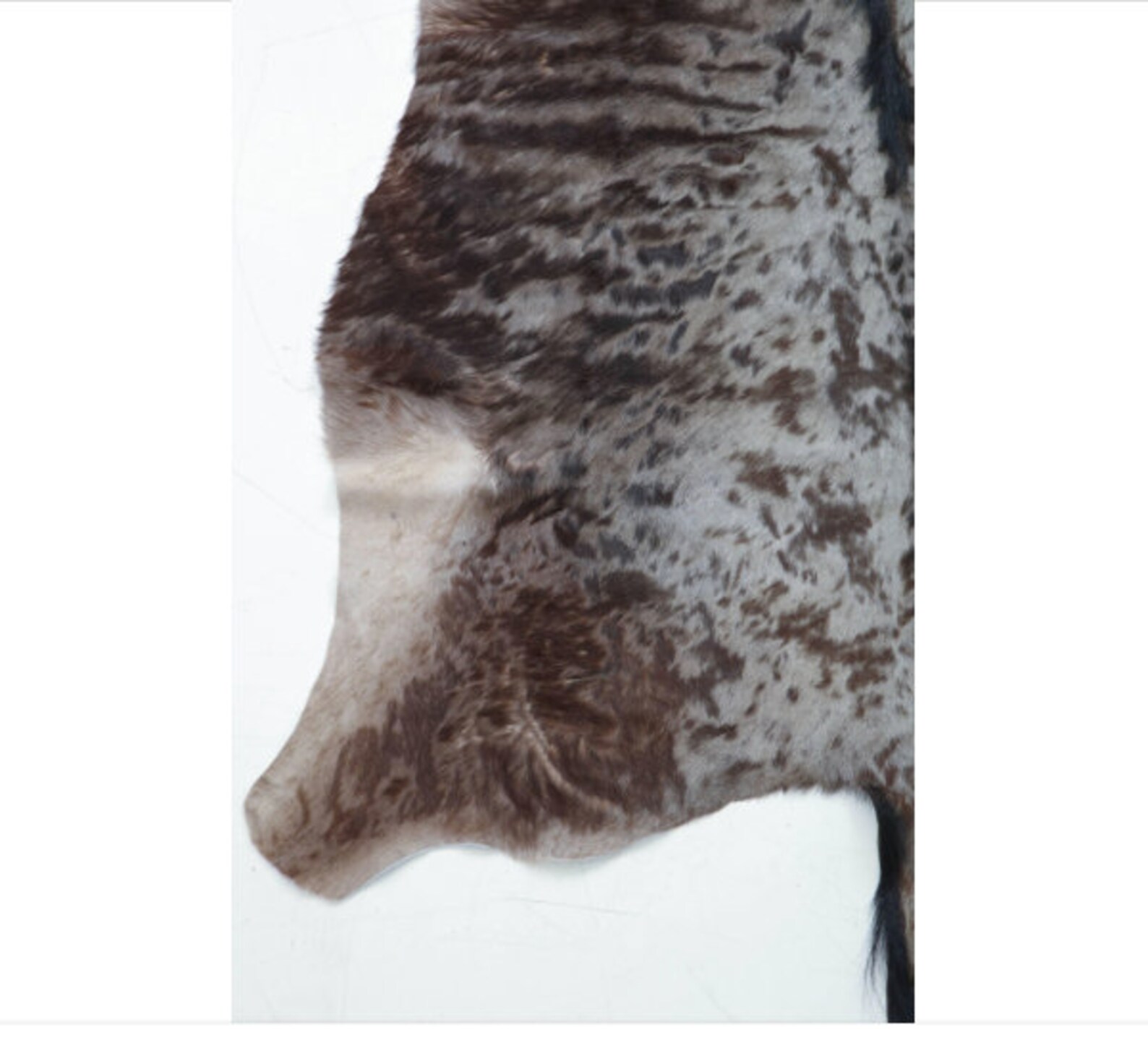 African Wildebeest Hide South Africa Wildebeest Leather Hide - Etsy