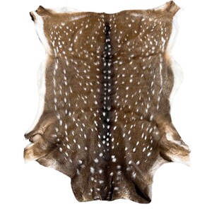 Axis Deer Hide Axis Deer Rug Axis Deer Throw Axis Deer Pelt Axis Deer ...