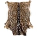 Axis Deer Hide Axis Deer Rug Axis Deer Throw Axis Deer Pelt Axis Deer ...
