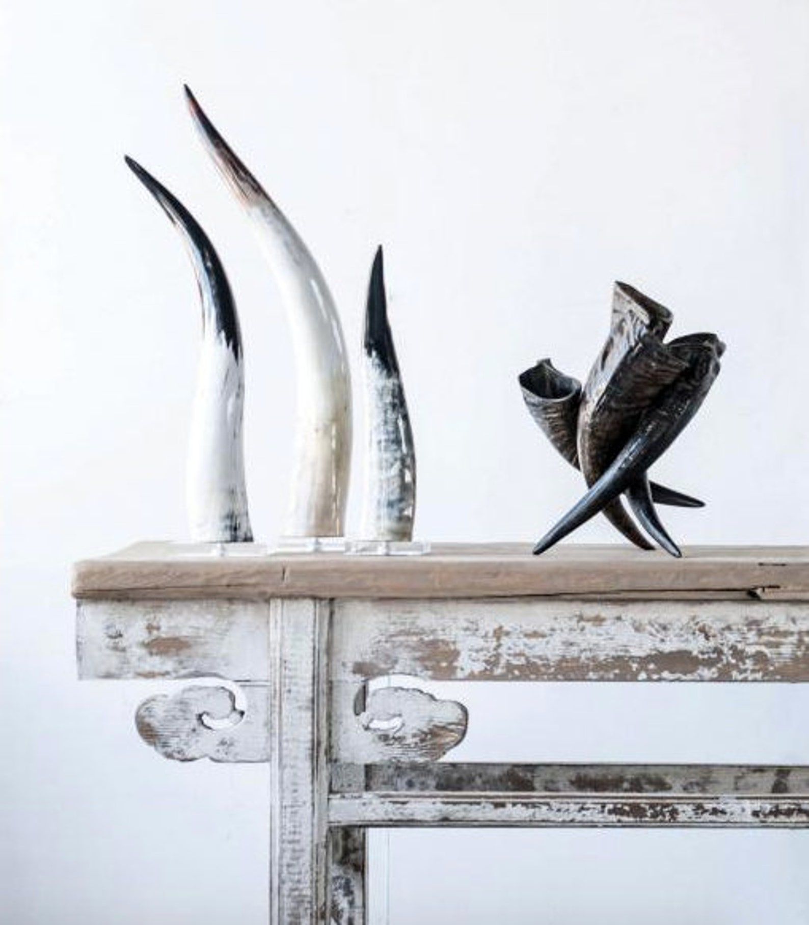 Cow Horn Sculpture on Acrylic Stand, Farmhouse Table Centerpiece - Etsy