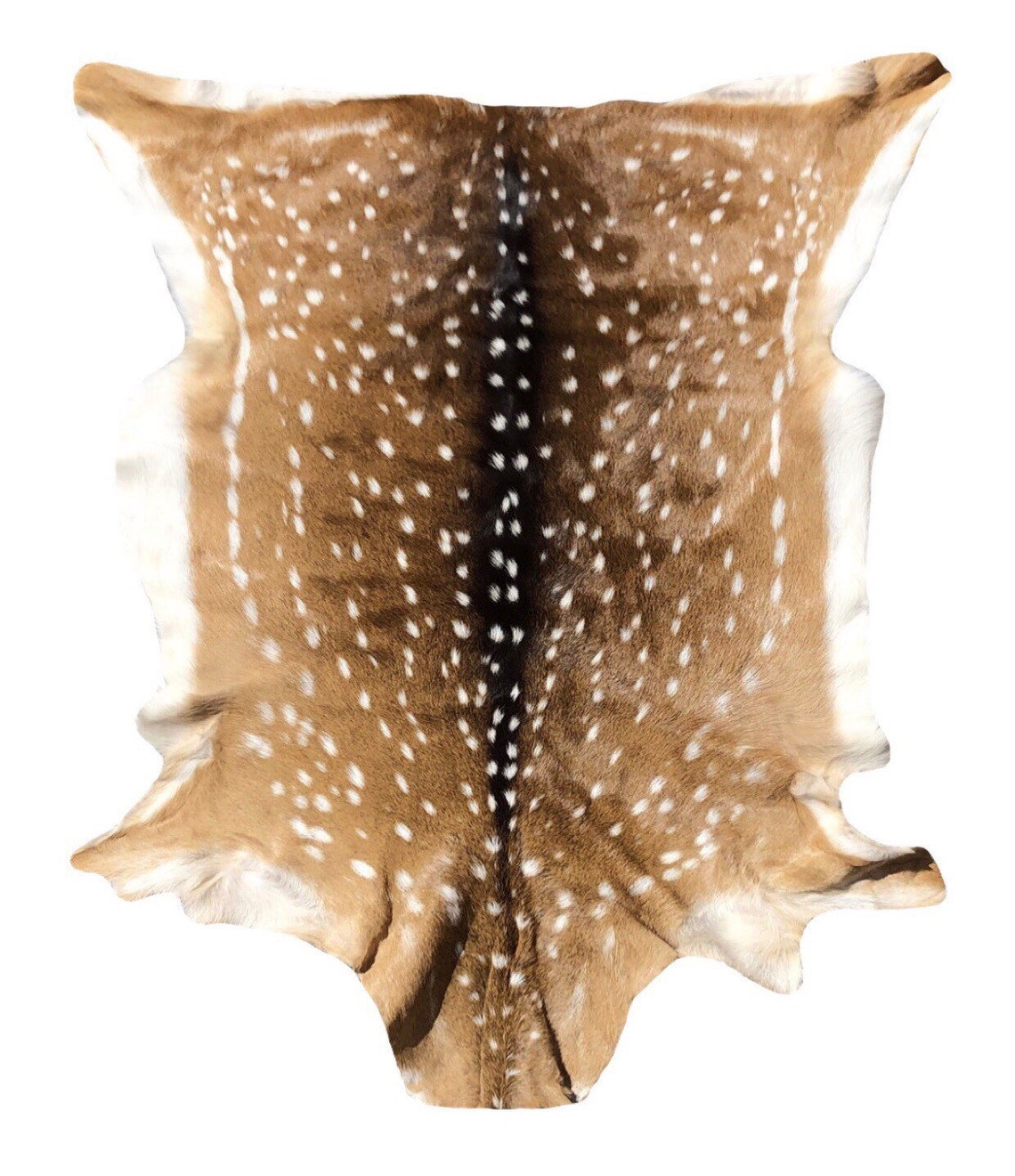 Axis Deer Hide Axis Deer Rug Axis Deer Throw Axis Deer Pelt | Etsy