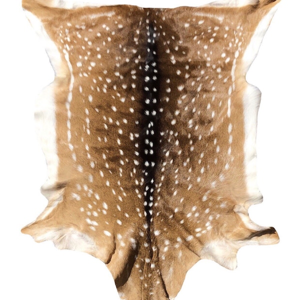 Deer Hide - Etsy