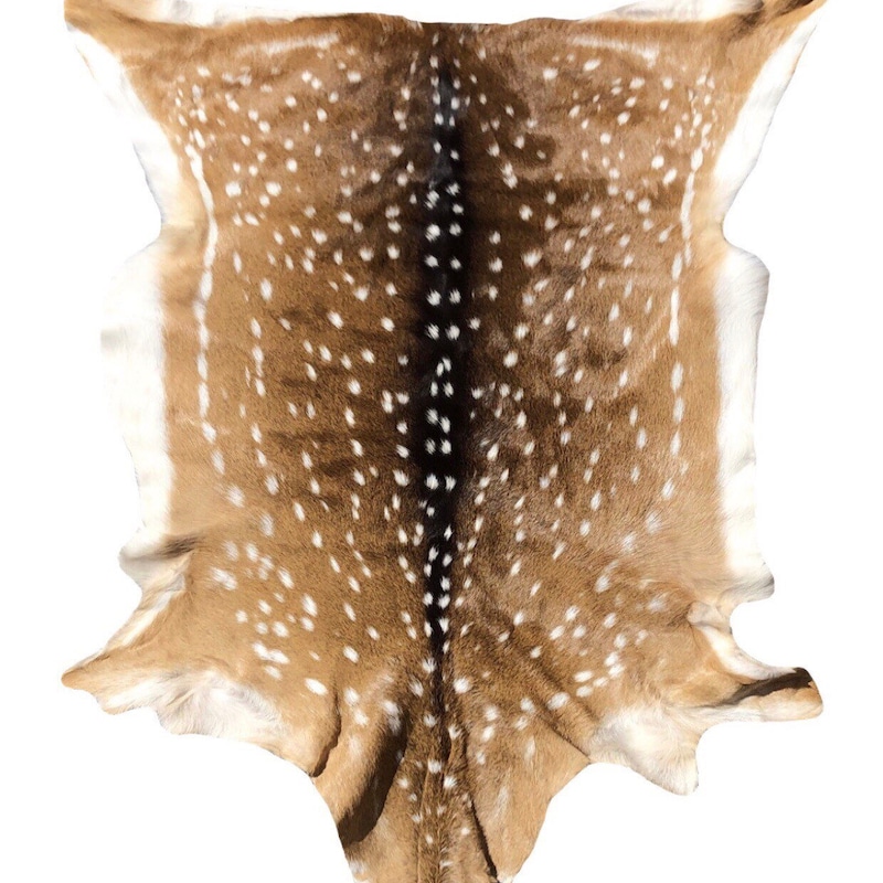 Deer Hide - Etsy
