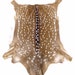 Axis Deer Hide Axis Deer Rug Axis Deer Throw Axis Deer Pelt Axis Deer ...