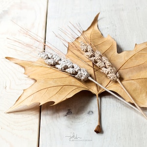 EAR of WHEAT - Crochet Pattern - Etsy