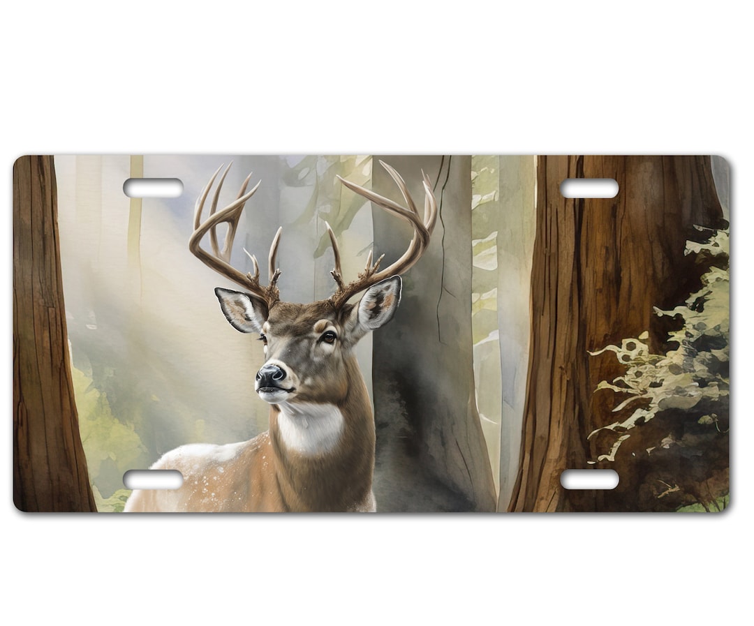 Personalized Standard Size License Plate - Deer Buck in Woods - Three ...