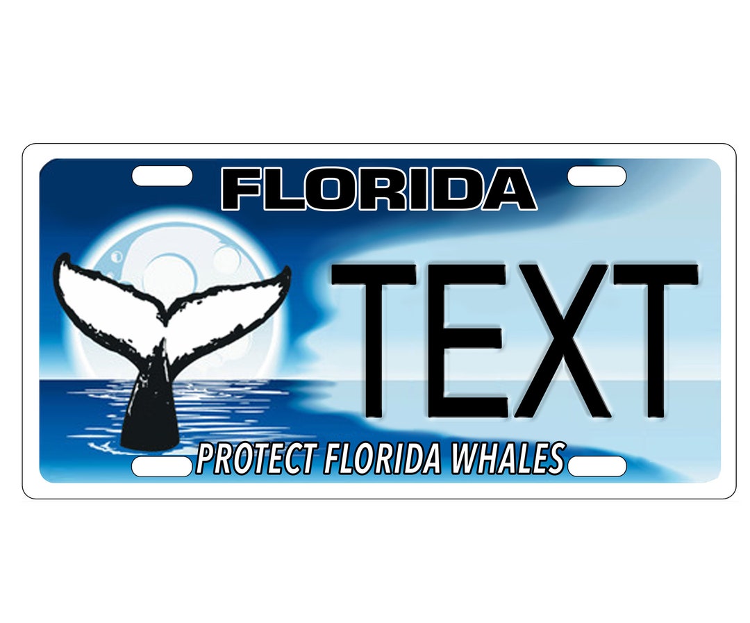 Personalized State License Plate - Florida Novelty Plate-printed Flat ...
