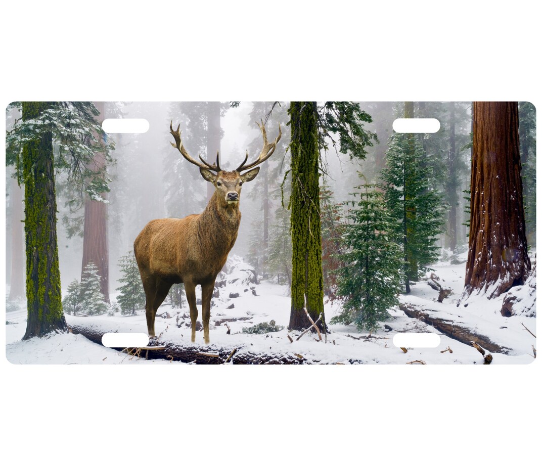 Personalized Standard Size License Plate - Sequoia Trees With Deer Buck ...