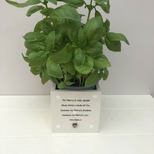 NANNY Personalised Flower / Plant Pot Gift Nana Granny Nan Nannie ...