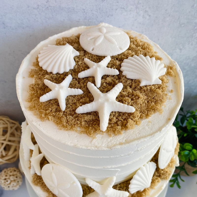 Seashell Cake Topper - Etsy