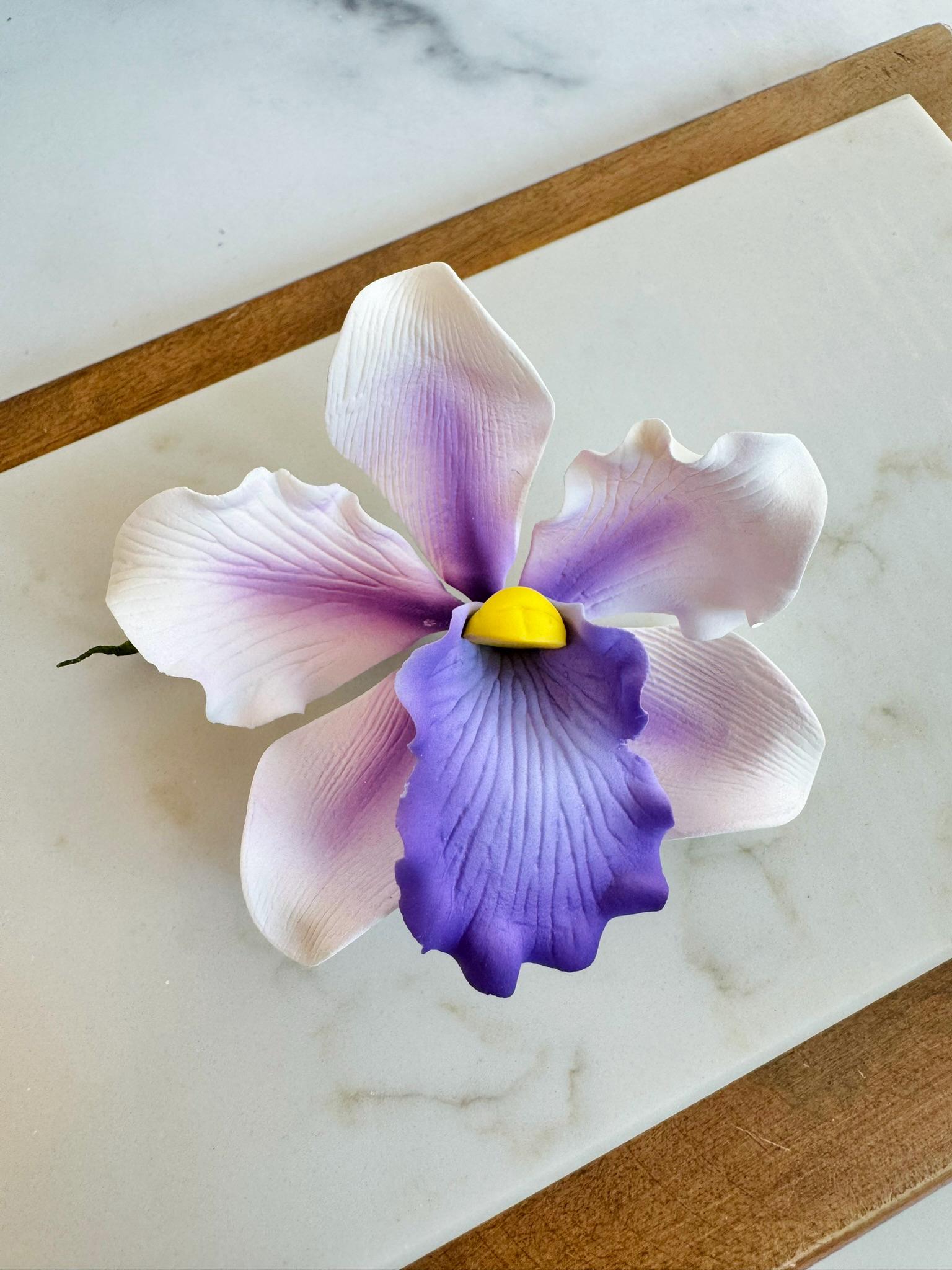 TROPICAL PURPLE & WHITE Orchid Gum Paste Flowers - 1 or 2 Pieces Cake ...