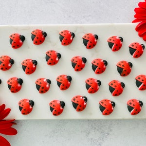 LADYBUGS Edible Sugar Decorations - 24 Pieces Cupcake or Cake Toppers ...