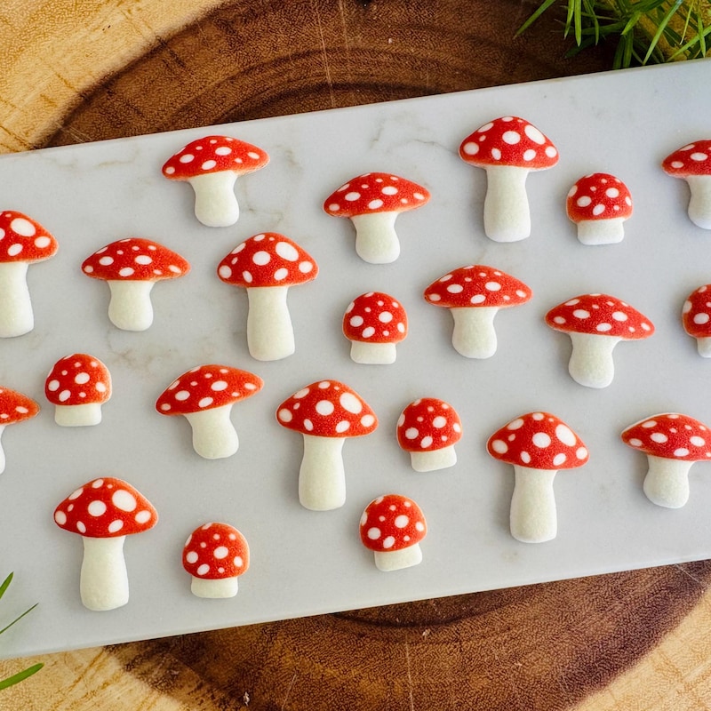 Mushroom Edible Cake - Etsy UK