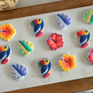 TROPICAL TOUCAN SUMMER Edible Sugar Decorations (12 Pieces) Cupcake or ...
