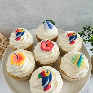 TROPICAL TOUCAN SUMMER Edible Sugar Decorations (12 Pieces) Cupcake or ...