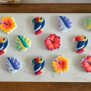 TROPICAL TOUCAN SUMMER Edible Sugar Decorations (12 Pieces) Cupcake or ...
