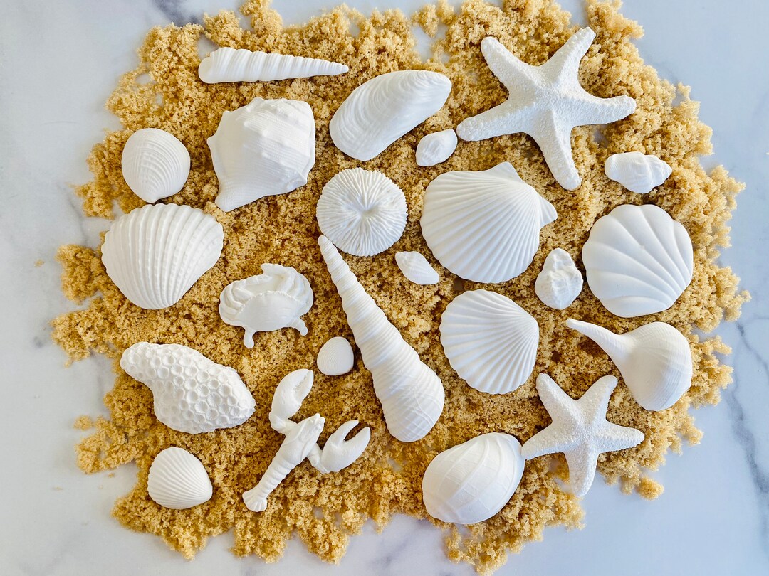 SEASHELL GUM PASTE 23 Pieces Cake / Cupcake Topper Assortment - Shell ...